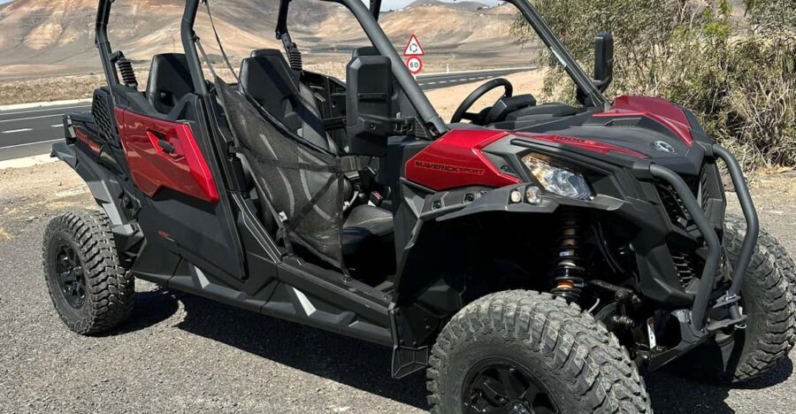 Family buggy - 4 seats, on road tour - Pricing and Value