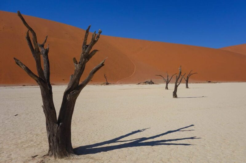 Family Joy in Fuerteventura Walking Tour - Family Joy in Fuerteventura Walking Tour: An Authentic Family Adventure in the Canary Islands