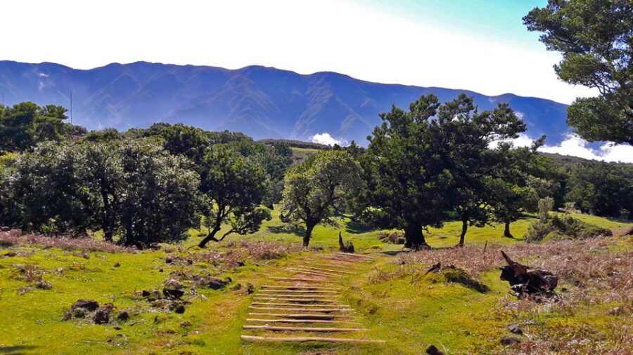 Fanal / Assobiadores - Levada Walk - The Highlights in Detail