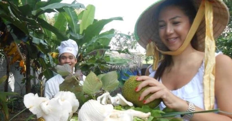 Farm-To-Table Healthy Cooking Class: Half-Day Tour - Key Points
