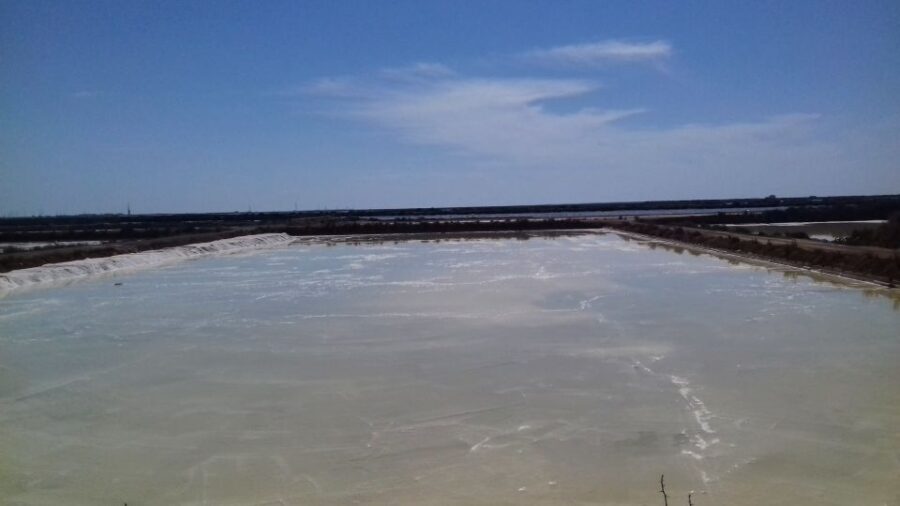 Faro Bike Tour through the Beautiful Ria Formosa - What’s Included and What’s Not