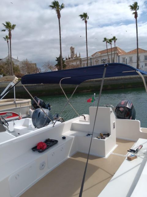 Faro: Dolphin and Marine Life Watching Boat Tour - The Experience of Wildlife Viewing and Island Visits