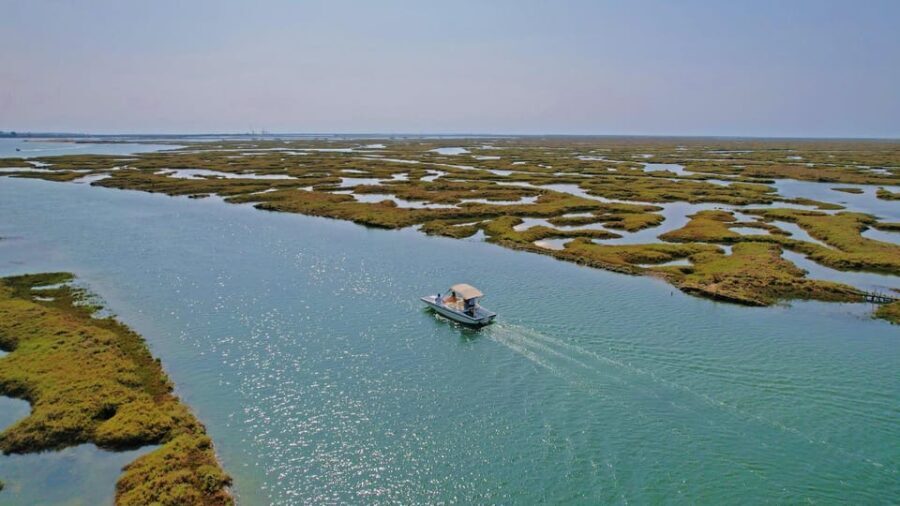 Faro: Ria Formosa Boat Tour by Eco-Friendly Solar Boat - The Value Proposition