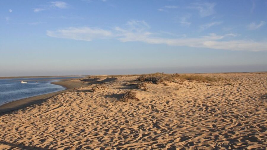 Faro: Ria Formosa Eco Birdwatching Boat Tour - Discovering Ria Formosa: The Heart of the Tour