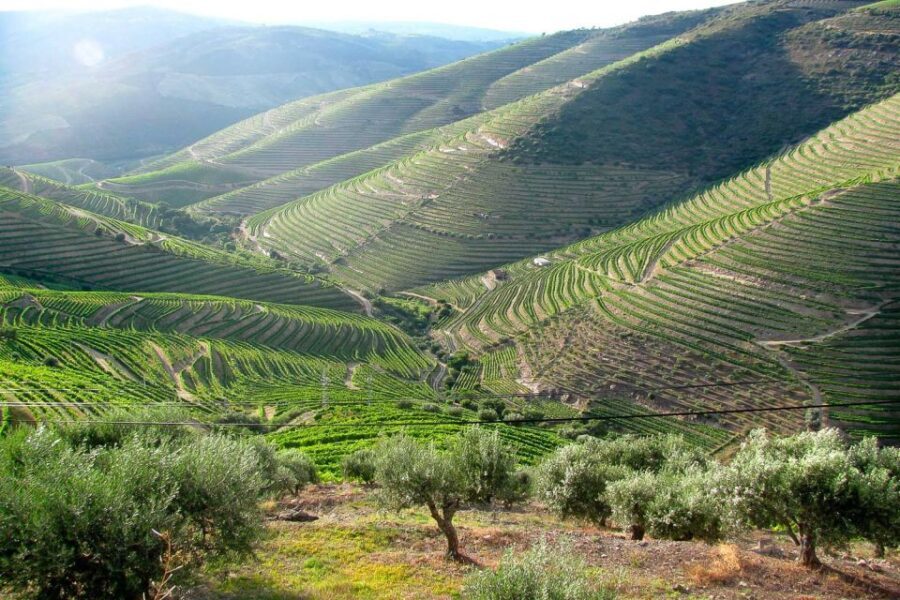 Fatima, Batalha, Nazare, Obidos Private Full Day Tour - The Practicalities: What to Expect