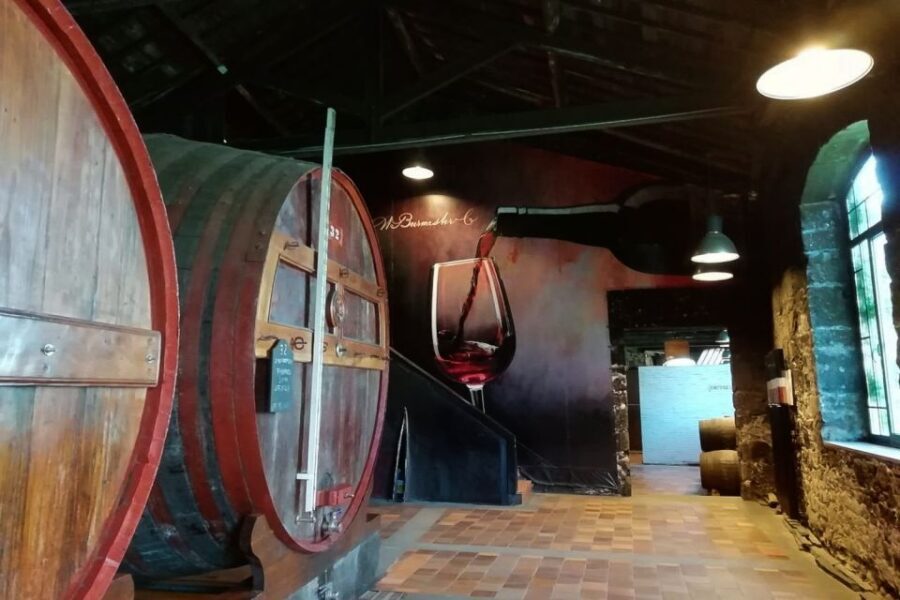 Fátima: Private Porto Tour - The Value of the Tour
