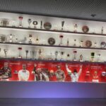 Ferrari Museum, Lamborghini Pagani Museums & Factory+Lunch - Who would love this tour?