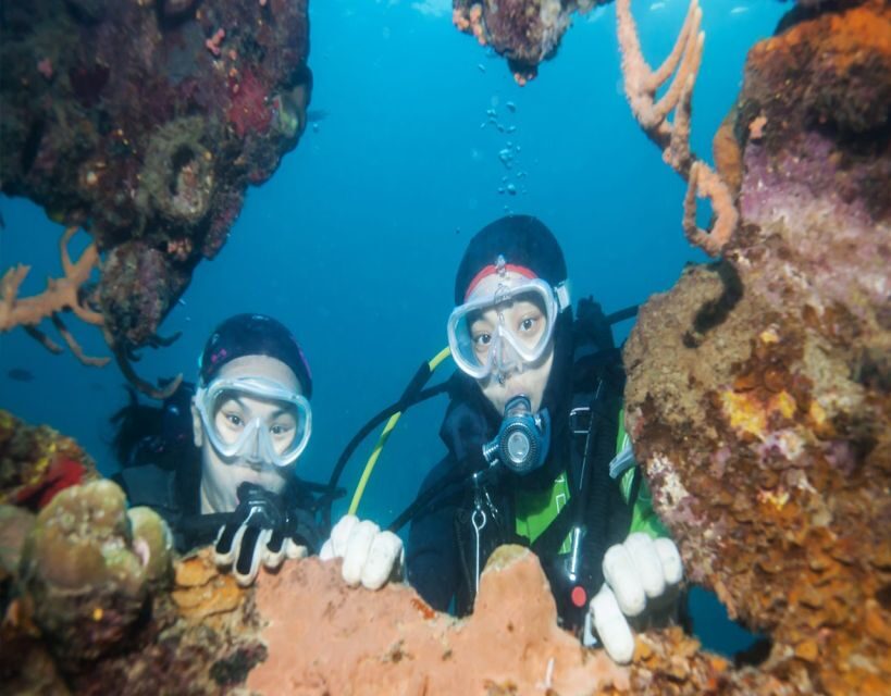 Fethiye: 2 Guided Scuba Dives with Lunch and Hotel Transfers - Who Is This Tour Best For?