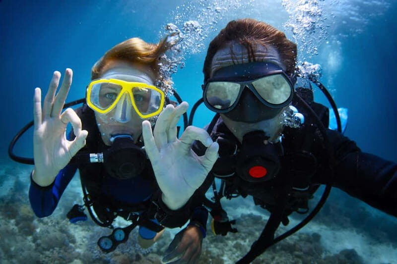 Fethiye: Full-Day Scuba Diving incl. 2-Dives, Lunch Transfer - What Makes This Tour Stand Out?