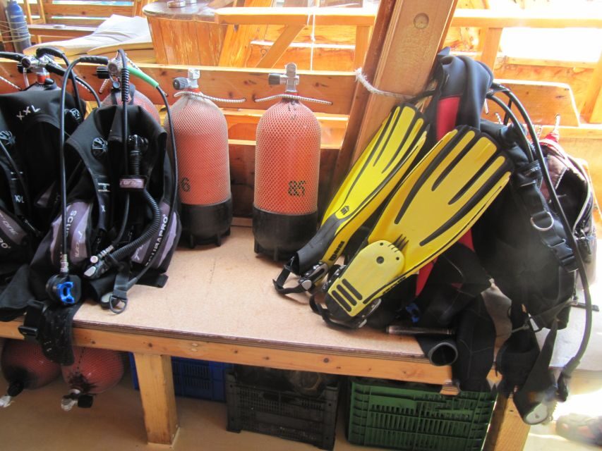 Fethiye: Professional Scuba Diving with Lunch - The Marine Environment
