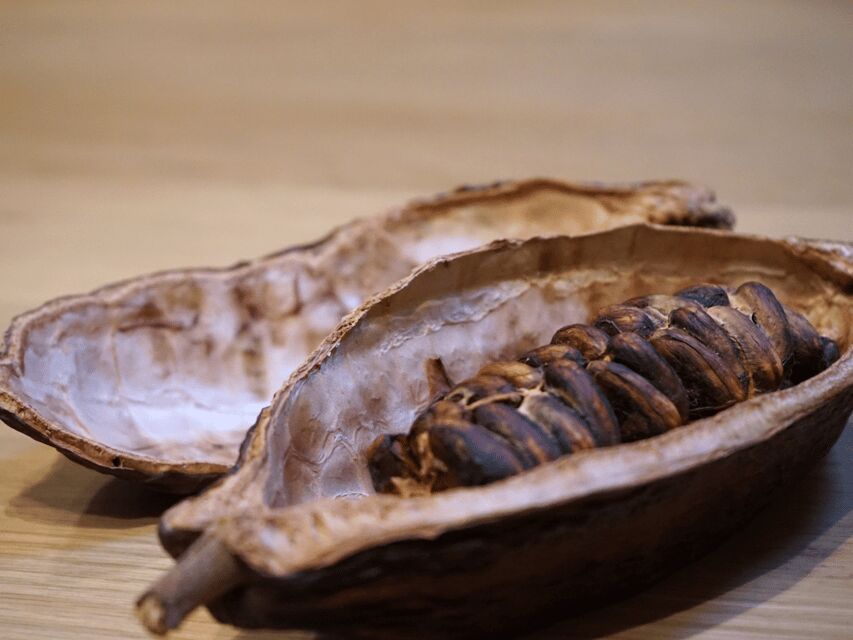 Fine Chocolate Tasting in Turin - Who Will Love This Tour?