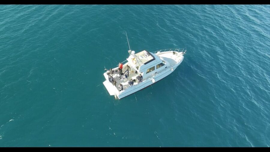 Fishing Trip all included - An In-Depth Look at the Fishing Experience