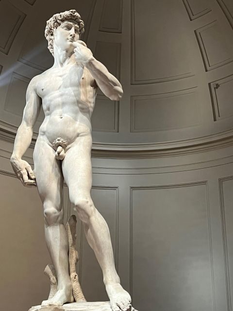 Florence: Accademia Gallery Guided Tour and Priority Entry - Who Should Book This Tour?