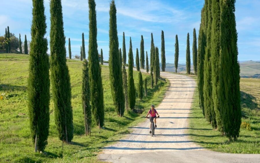 Florence: Chianti E-Bike Tour with Lunch & Two Wine Tastings - The Experience for Travelers