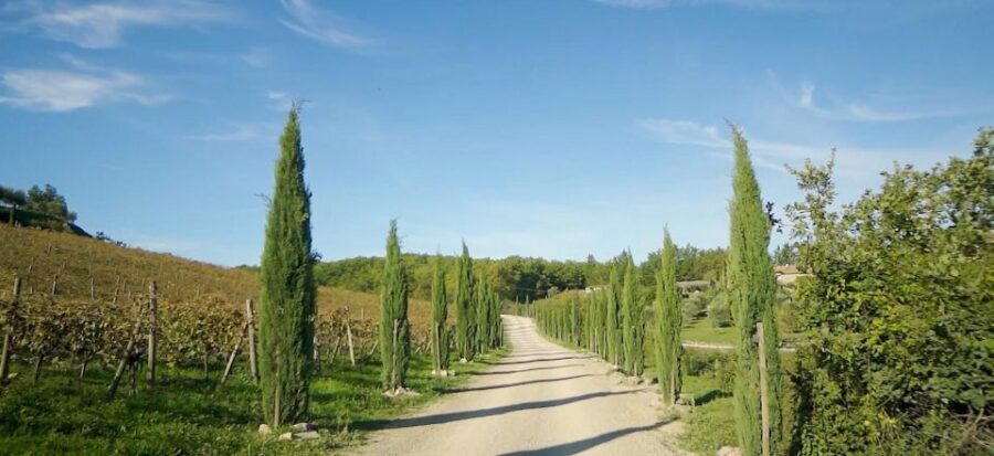 Florence: Chianti, Montalcino & Montepulciano Private Tour - What makes this tour a good value?
