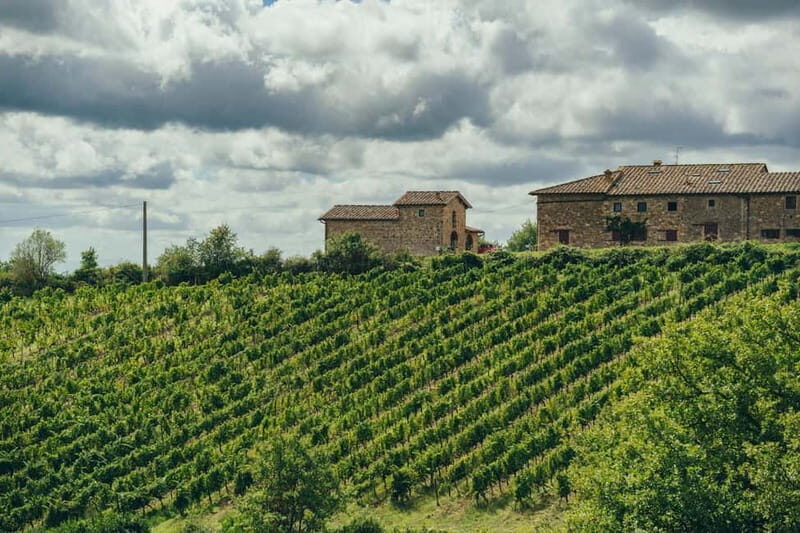 Florence: Chianti Secrets Wineries Tour With Lunch - The Itinerary — Step by Step
