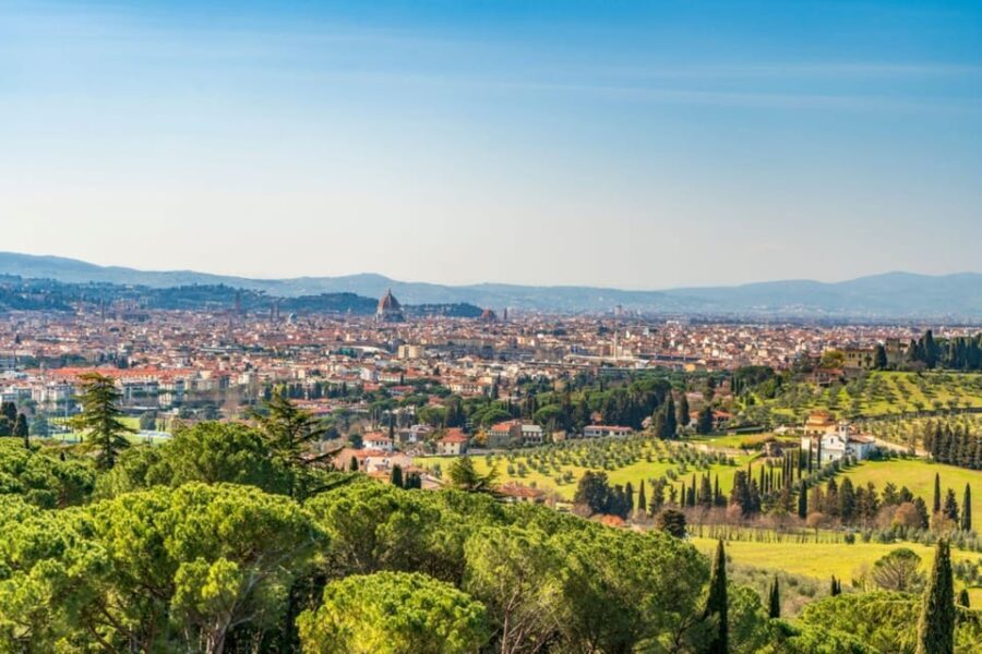Florence: Fiesole E-Bike Tour with Olive Oil Tasting - Practical Details & What to Expect