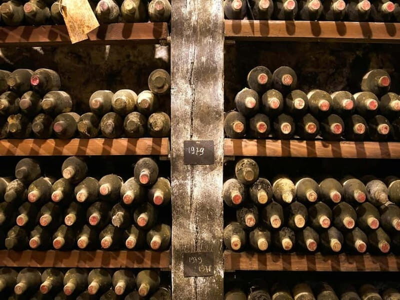 Florence: Great Chianti Wine and Olive Oil Trail with Lunch - Who Will Enjoy This Tour Most?