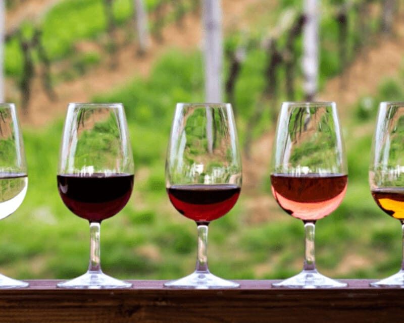 Florence: Half Day Private Tuscany Wine Tour with 2 Wineries - A Step-by-Step Breakdown of the Experience