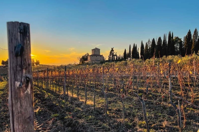 Florence: Hiking Tuscany & Chianti wine 3 wineries and lunch - Visiting the 12th-Century Family Winery