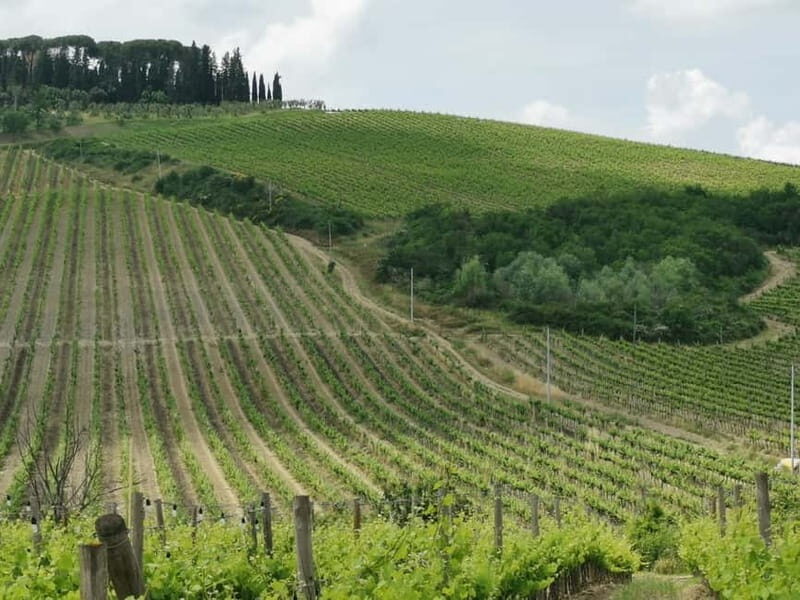 Florence: Panoramic Tour to Fiesole and Michelangelo Square - What’s Included and What’s Not
