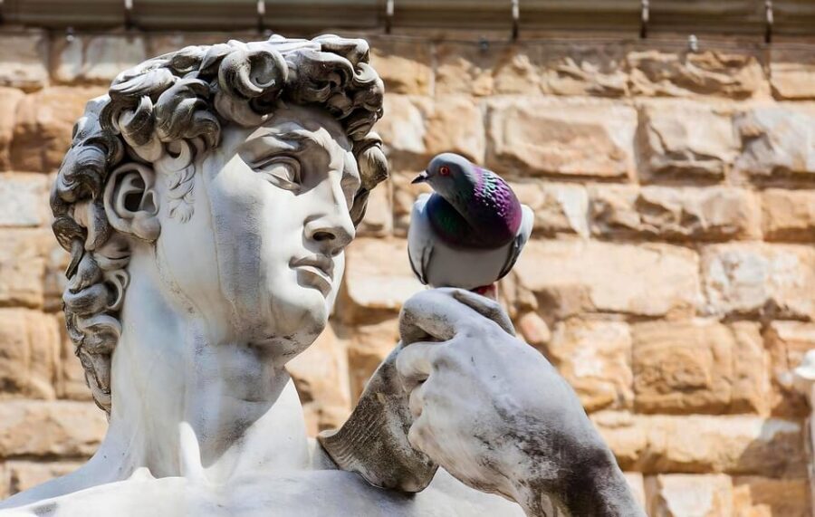 Florence: Piazza della Signoria & David - Anti Walking Tour - The Experience in Detail
