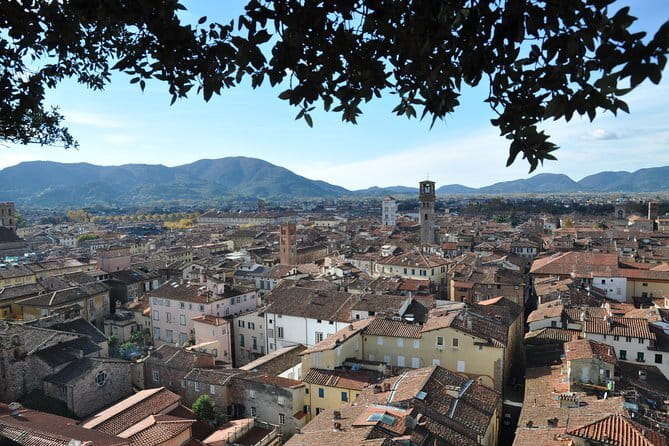 Florence Private Day Trip to Pisa and Lucca - A Deep Dive into the Tour Experience