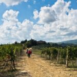Florence: Private full day tour to Chianti Wine Region - What to Expect from Your Day