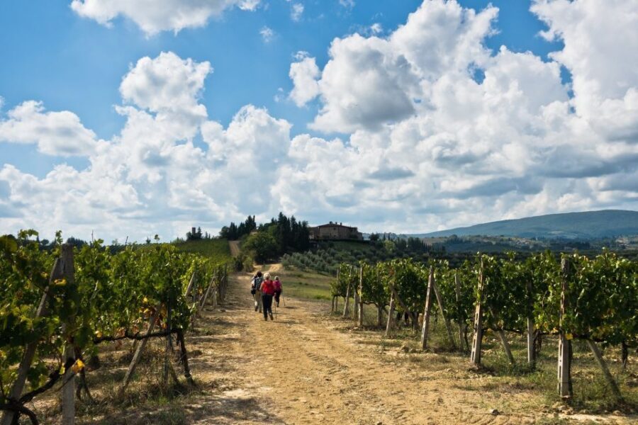 Florence: Private full day tour to Chianti Wine Region - What to Expect from Your Day