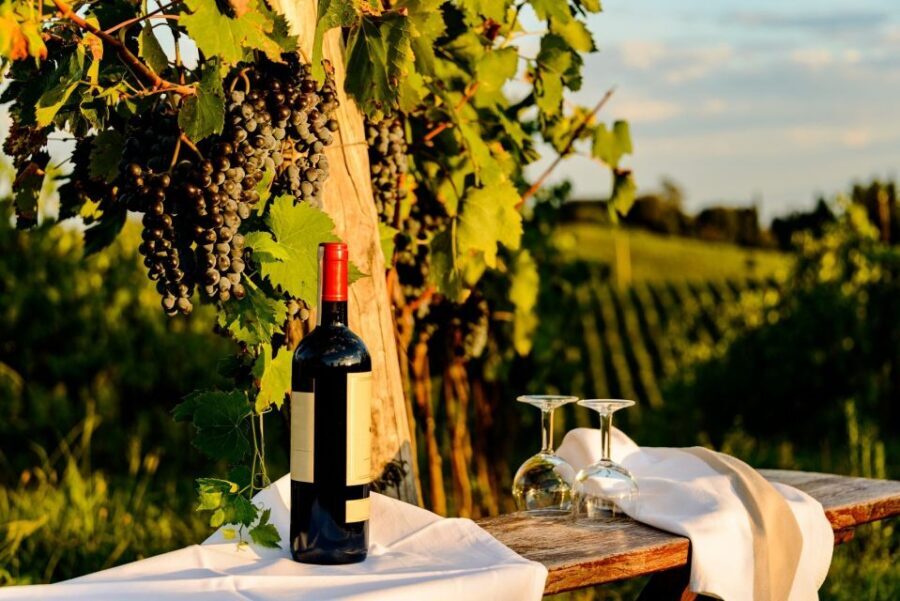 Florence: Private Half-Day Chianti Tour - Who This Tour is Best For
