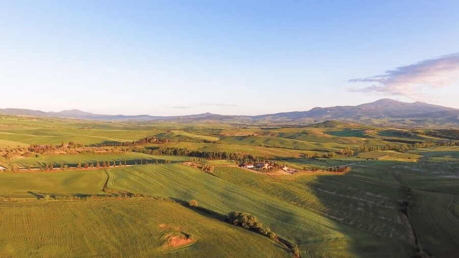 Florence: S. Gimignano, Siena, Chianti & Wine Tasting Lunch - Authentic Experiences and Tips