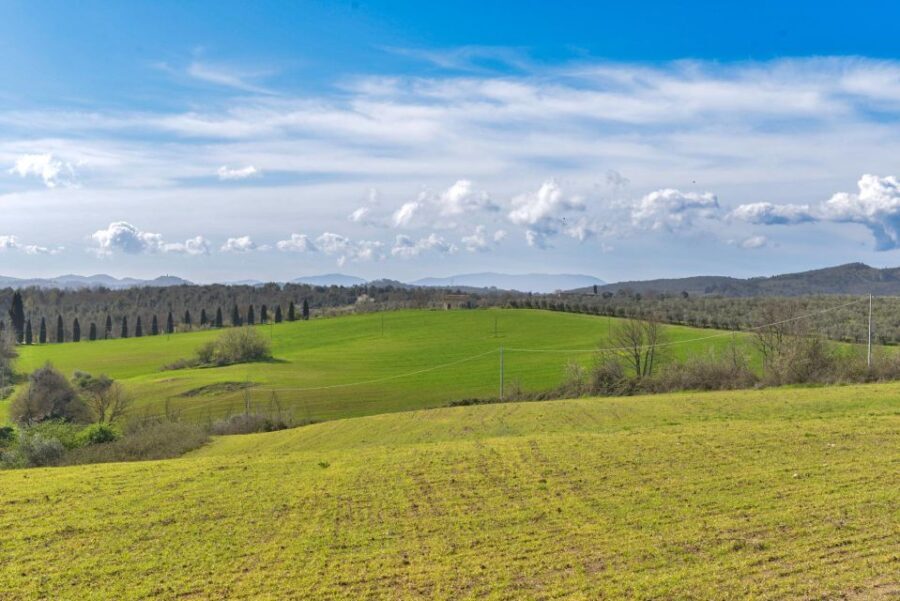 Florence: San Gimignano & Volterra Day Trip with Food & Wine - The Itinerary: What’s in Store