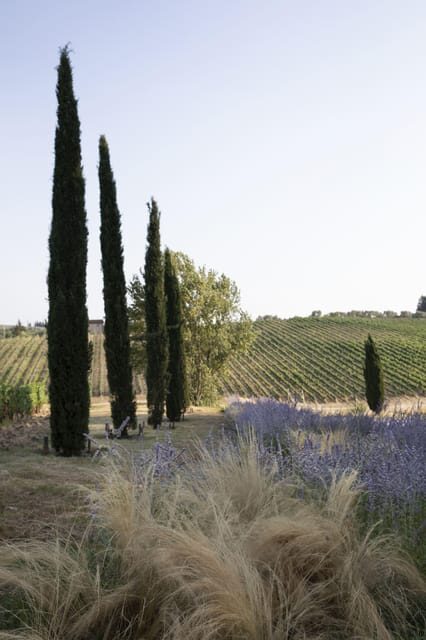 Florence: Tradition Reinvented wine experience - An In-Depth Look at the Tour Experience