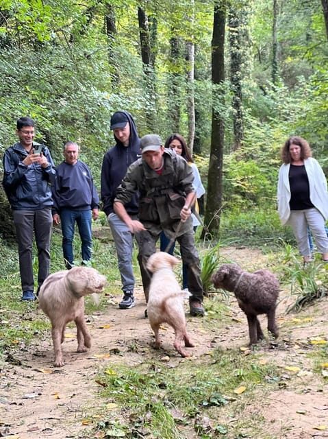 Florence: Truffle Hunt, San Gimignano, and Chianti Day Trip - Key Points