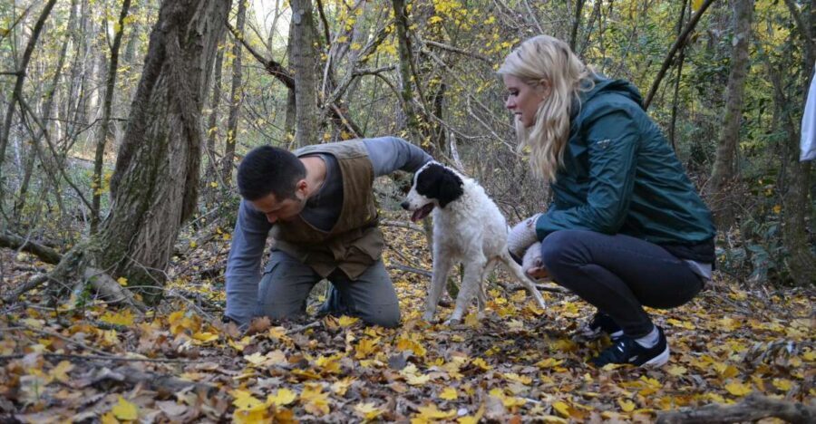 Florence: Truffle Hunting, Lunch, and Wine Tasting Tour - Authentic Experiences and Real Traveler Insights