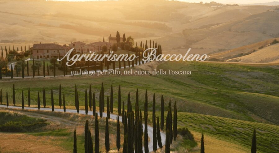 Florence:Day Tour to Siena&Baccoleno&Chapel w/ PrivateDriver - Final Thoughts: Who Should Consider This Tour?
