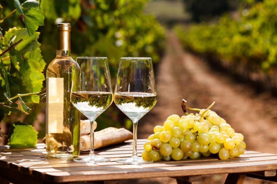 Frascati Private Tour w/ Lunch & Wine Tasting in a Vineyard - The Journey Begins: Rome to Frascati