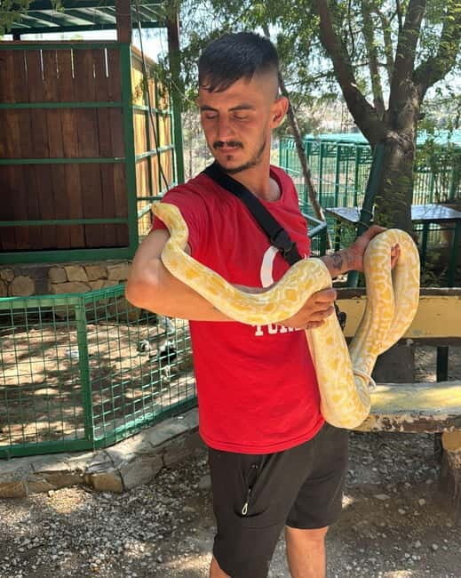 From Alanya: Lion Safari & Green Canyon Splash Feast w/Lunch - An In-Depth Look at the Lion Safari & Green Canyon Splash Feast Experience