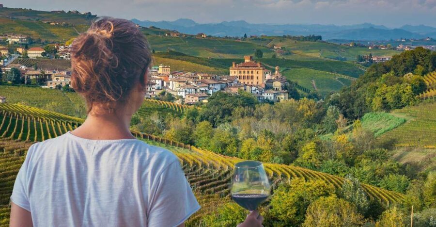 From Alba/Turin: Langhe Wine Day Trip with Tastings & Lunch - Why This Tour Offers Great Value
