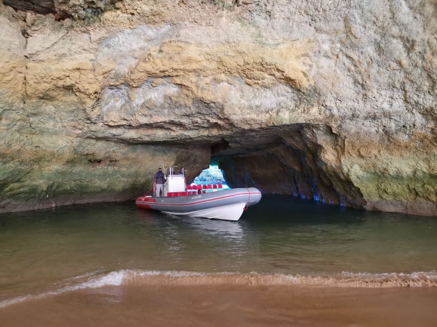 From Albufeira: Benagil Caves and Dolphins Guided Boat Tour - Who Should Consider This Tour?