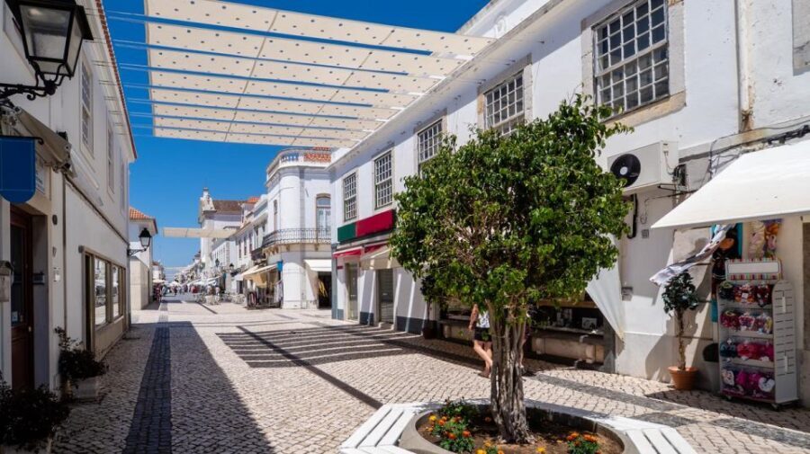 From Albufeira: Full-Day Tour of Algarve Eastern's Finest - Transportation, Guides, and Overall Value