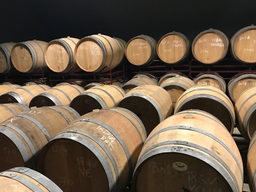 From Albufeira: Full-Day Wine Tasting Tour with a Guide - The Experience in Context