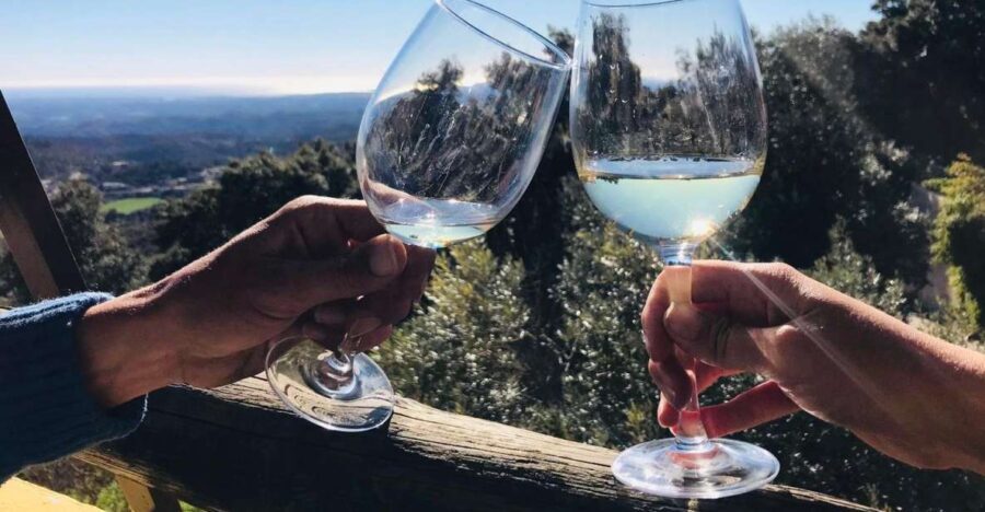 From Albufeira: Half-Day Winery Tour and Silves - The Itinerary: What You Can Expect