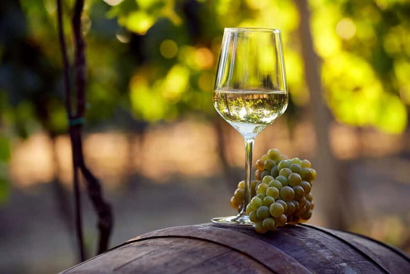 From Alicante and Elche: Guided tour for vineyard and winery with tasting - An In-Depth Look at the Tour