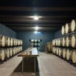 From Alicante ,Benidorm: Winery Tour and Wine Tasting - Who Should Consider This Tour?