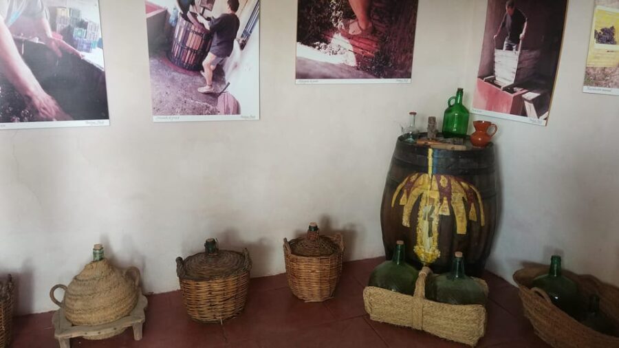 From Alicante & Elche: Family owned rural Winery (tasting) - Why This Experience Offers Good Value