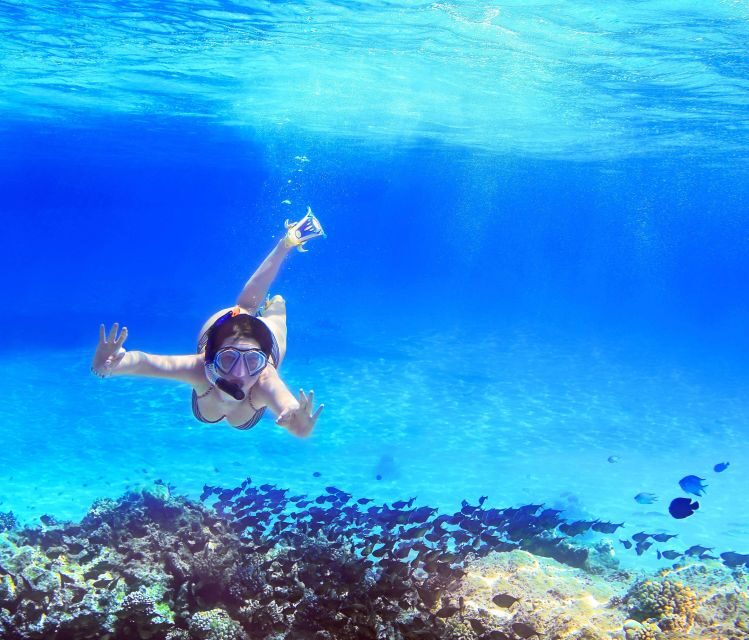 From Amalfi: Capri Island Boat Tour with Snorkeling & Drinks - Who Will Love This Tour?