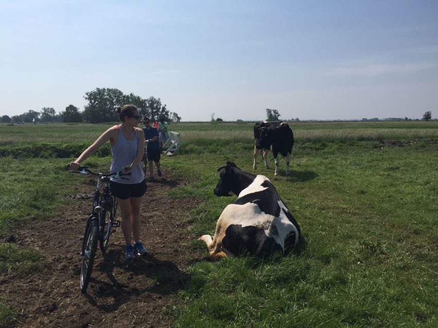 From Amsterdam: Countryside Bike Tour - Is It Good Value?