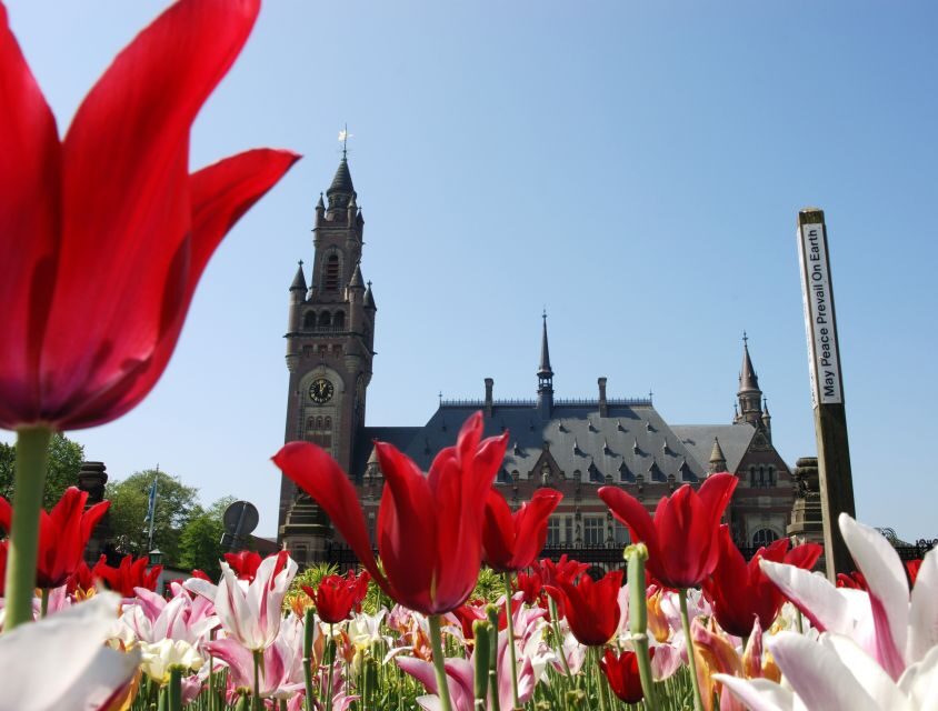 From Amsterdam: Guided Trip to Rotterdam, Delft & The Hague - What Do Travelers Say?