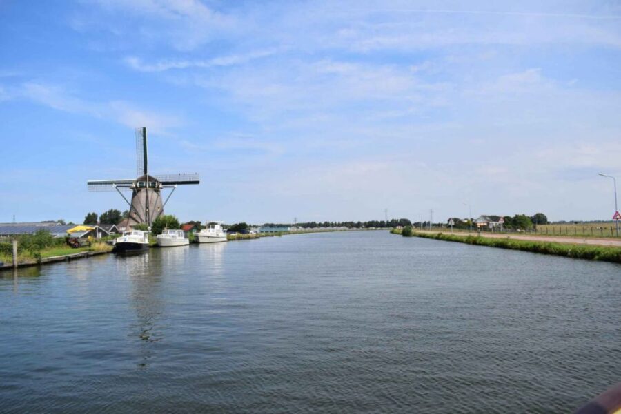 From Amsterdam: Holland Flower and Windmill Tour - summer ed - What to Expect from the Tour